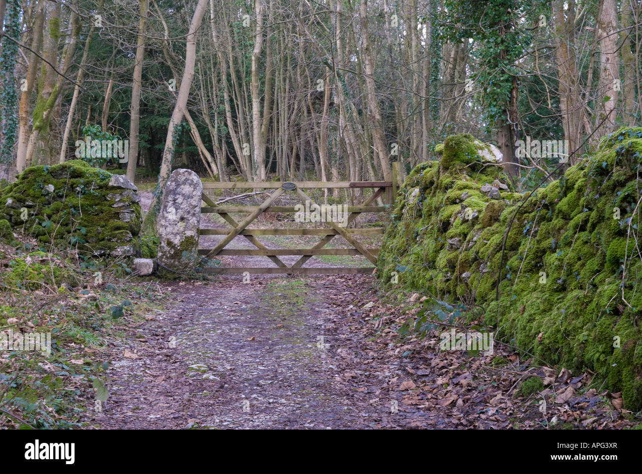 Gate stoops hi-res stock photography and images - Alamy