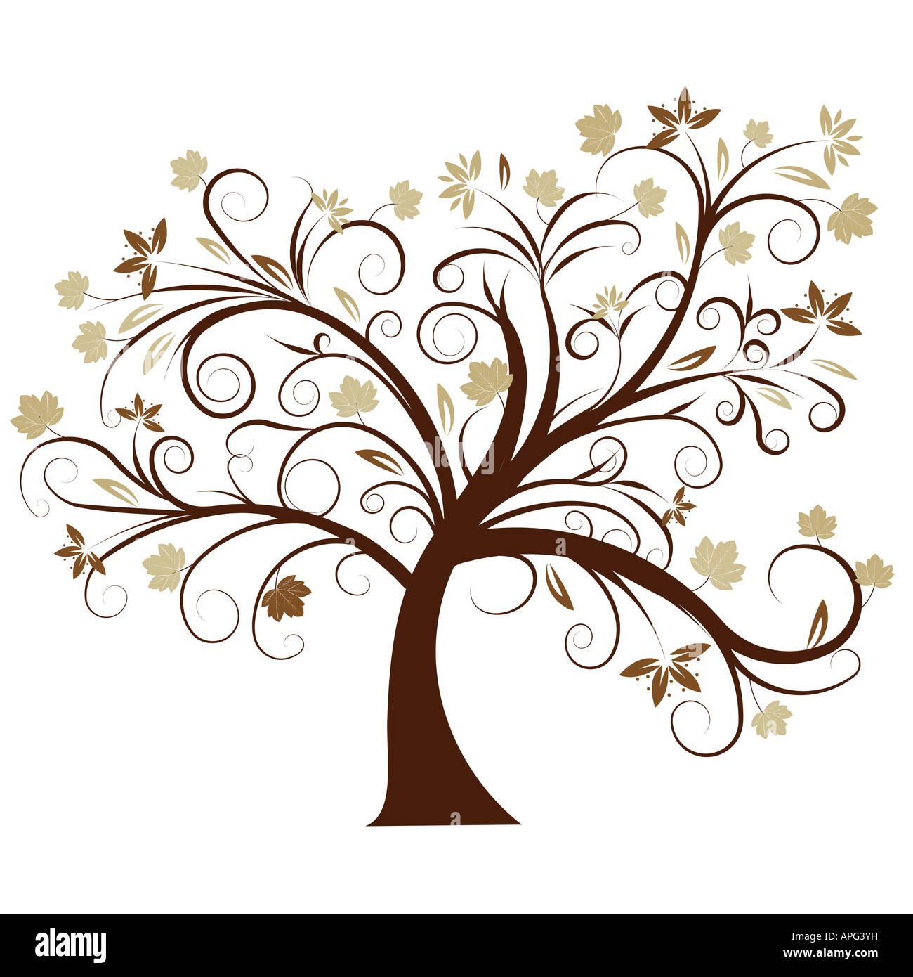 beautiful vector autumn tree design Stock Photo - Alamy