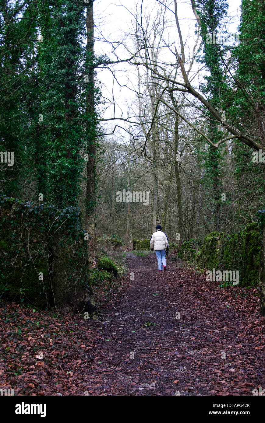 female rambler on woodland track Stock Photo - Alamy