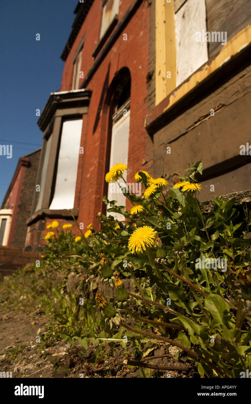 run down, and boarded up houses in the Anfield area of Liverpool Stock ...