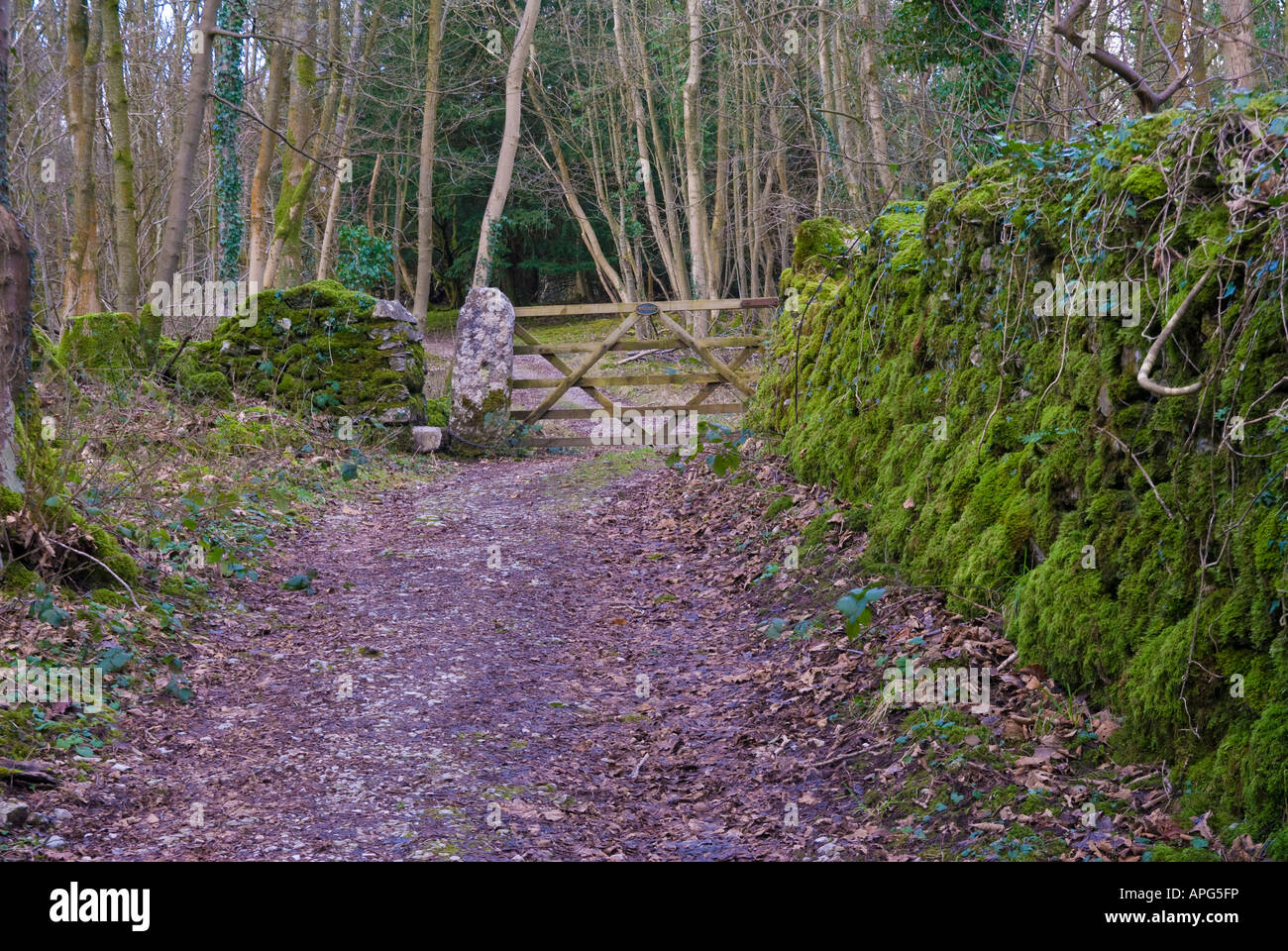 Gate stoops hi-res stock photography and images - Alamy