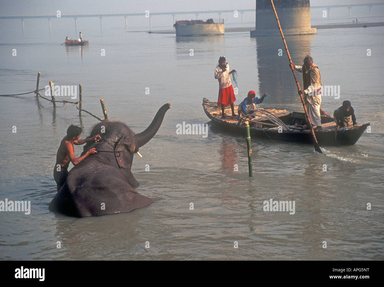 Sonepur mela hi-res stock photography and images - Alamy