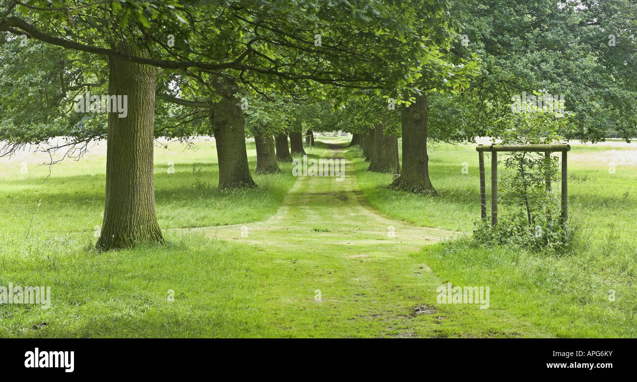 Baddesley Clinton estate Warwickshire A View from the Heart of England ...
