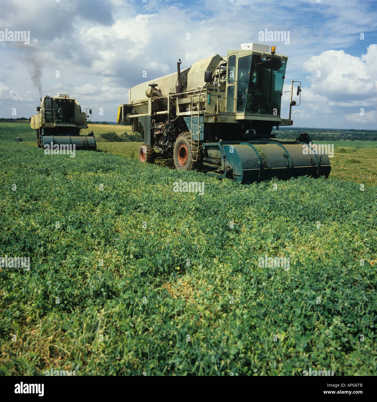Viners hi-res stock photography and images - Alamy