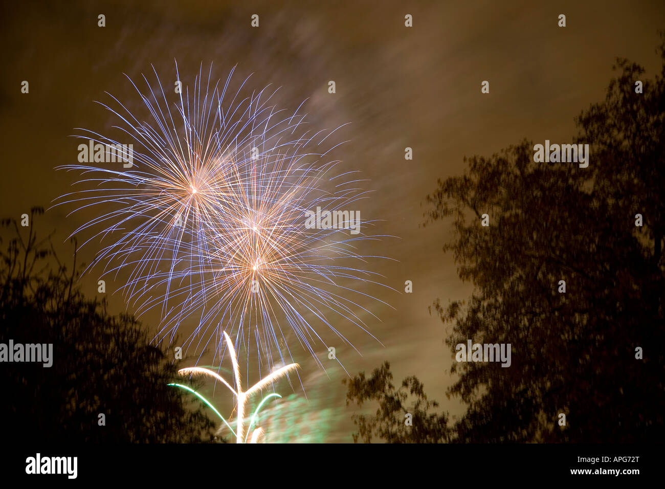 Firework display that resembles flower, stem and leaves Stock Photo - Alamy