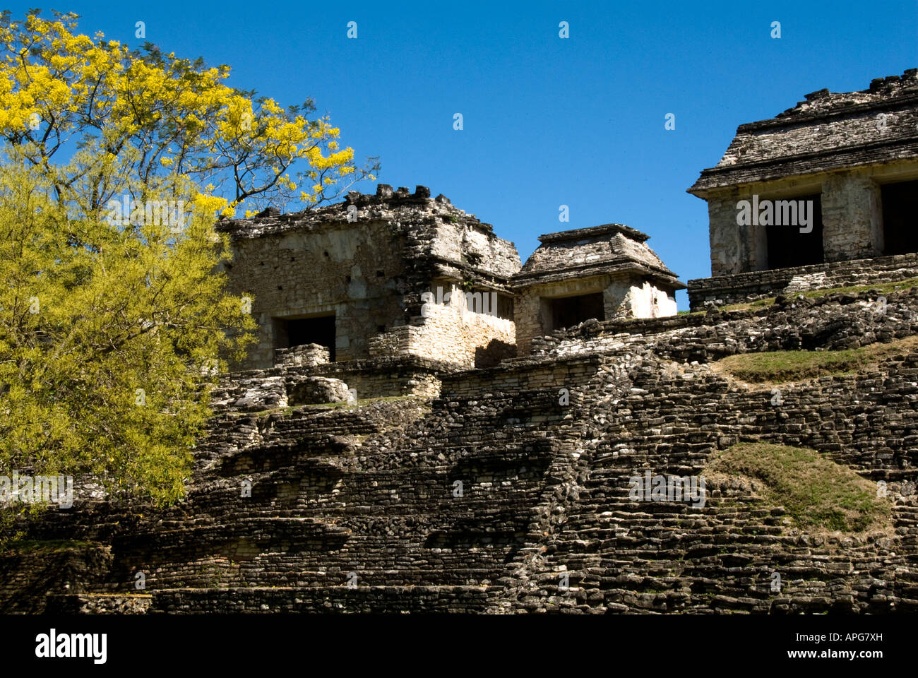 Maya archaeological site Stock Photo - Alamy