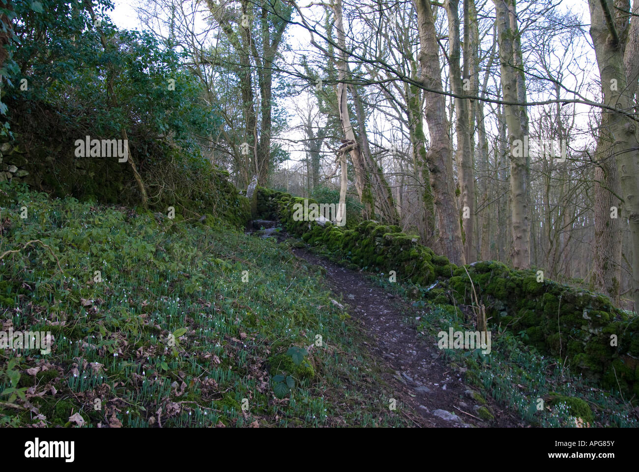 Gate stoops hi-res stock photography and images - Alamy