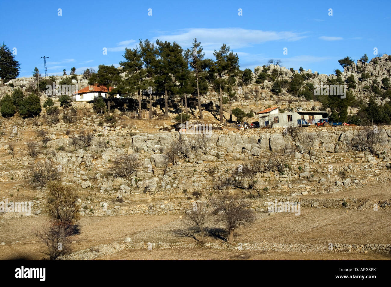 Selge hi-res stock photography and images - Alamy