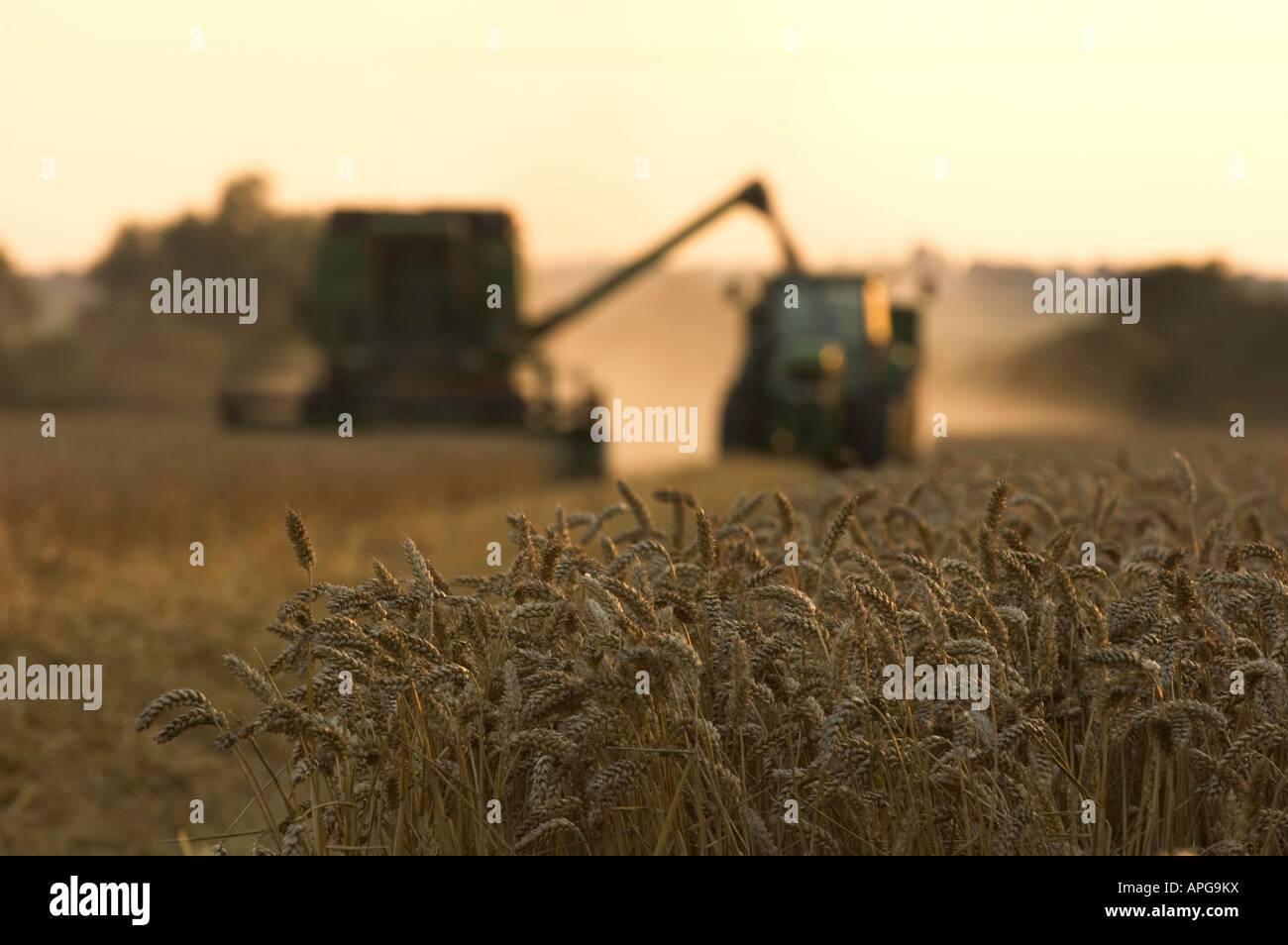 Combine Harvester unloading it's load of finished grain to a tractor ...