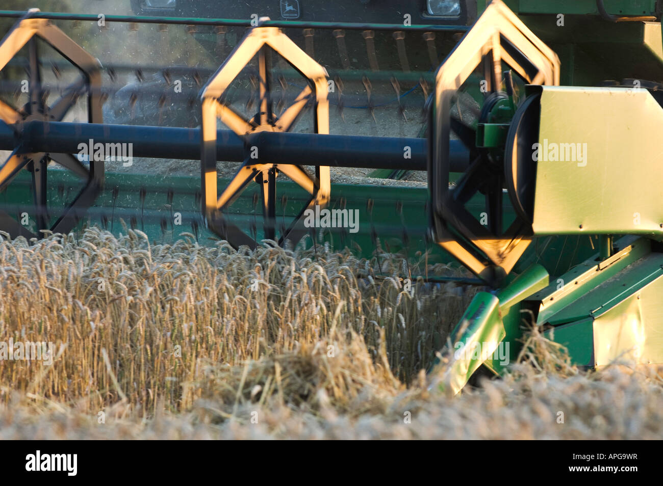 Close up picture of the business end of a combine harvester showing the ...