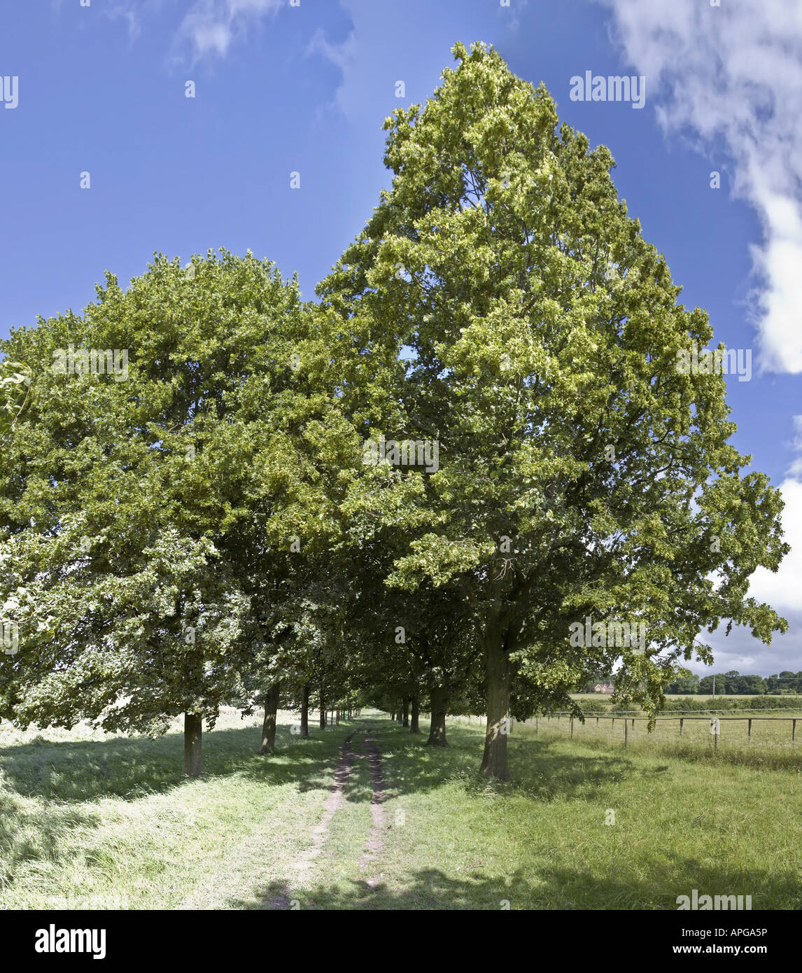 Baddesley Clinton estate Warwickshire A View from the Heart of England ...