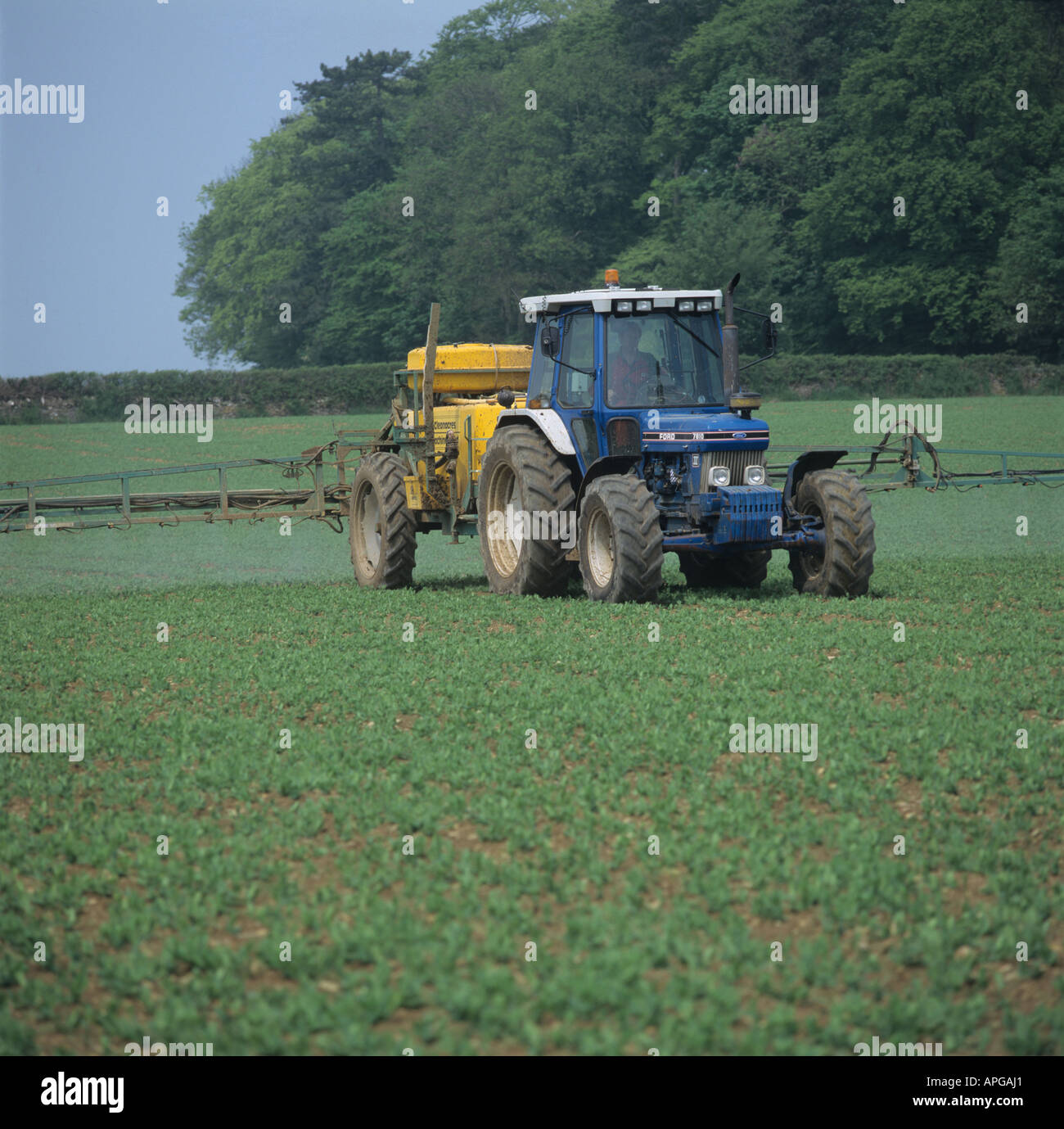 Ford tractor and sprayer spraying young pea crop Stock Photo - Alamy