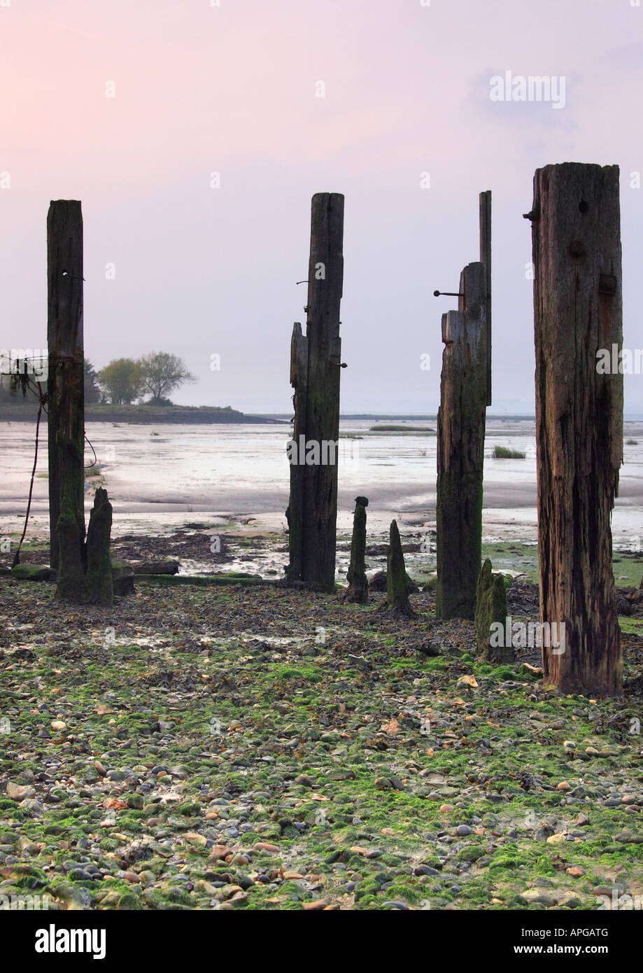 The remains of a dock on the Rainham marshes Stock Photo - Alamy
