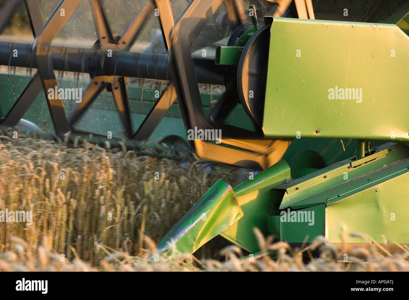 Wheat scythe harvest hi-res stock photography and images - Alamy