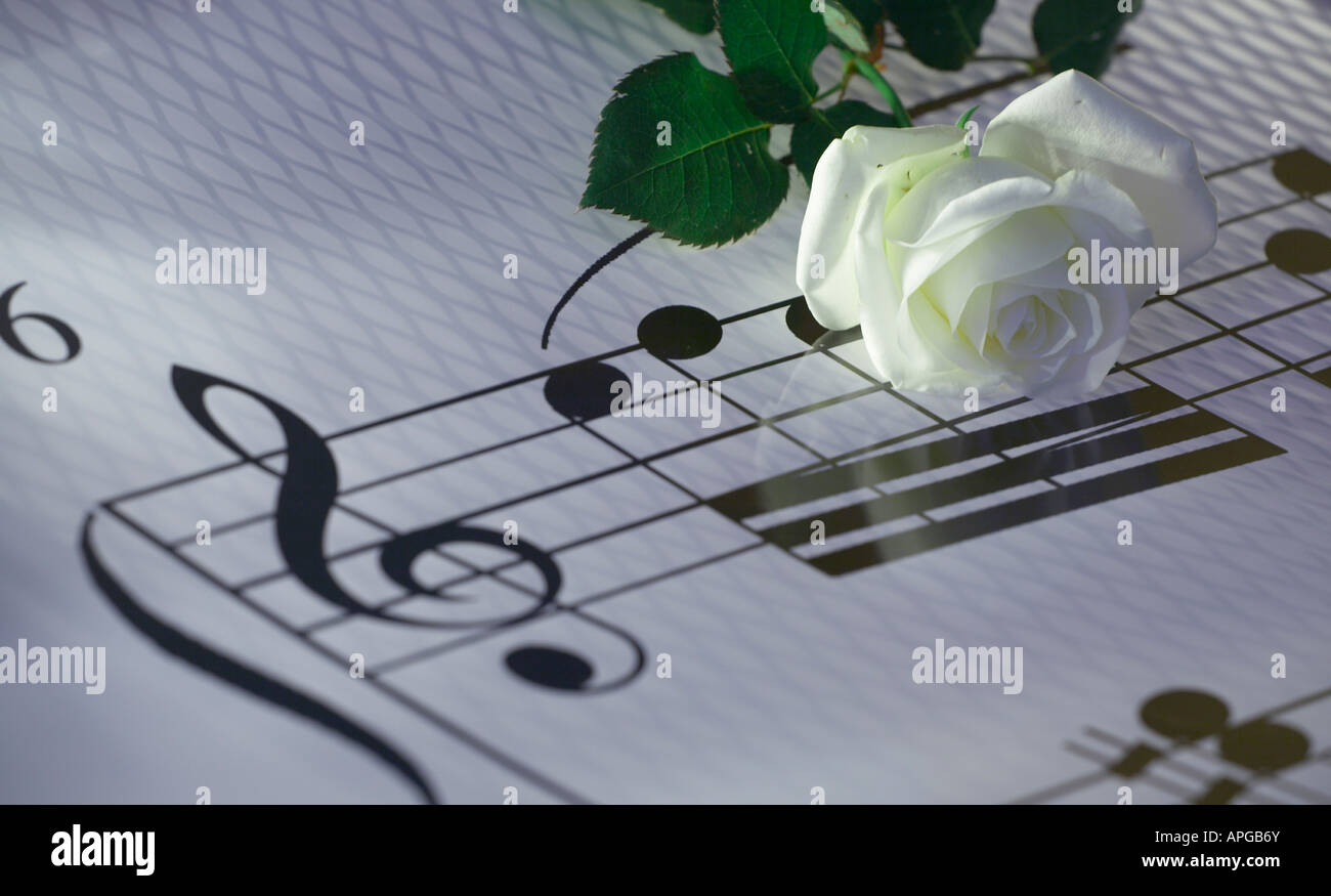 Flower on a notesheet Stock Photo - Alamy
