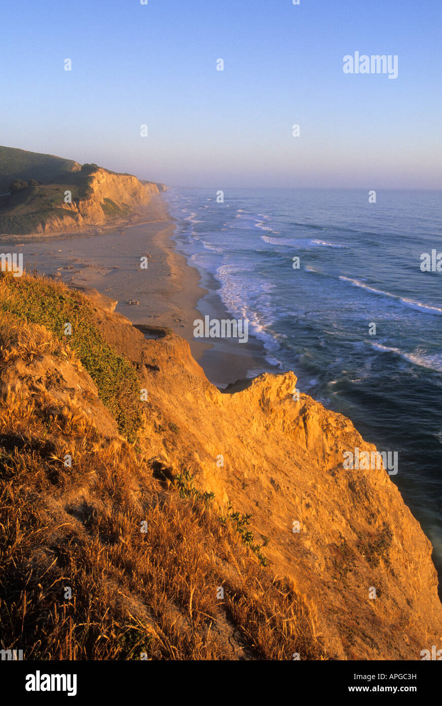 Bluffs above San Gregorio State Beach, California, USA Stock Photo - Alamy