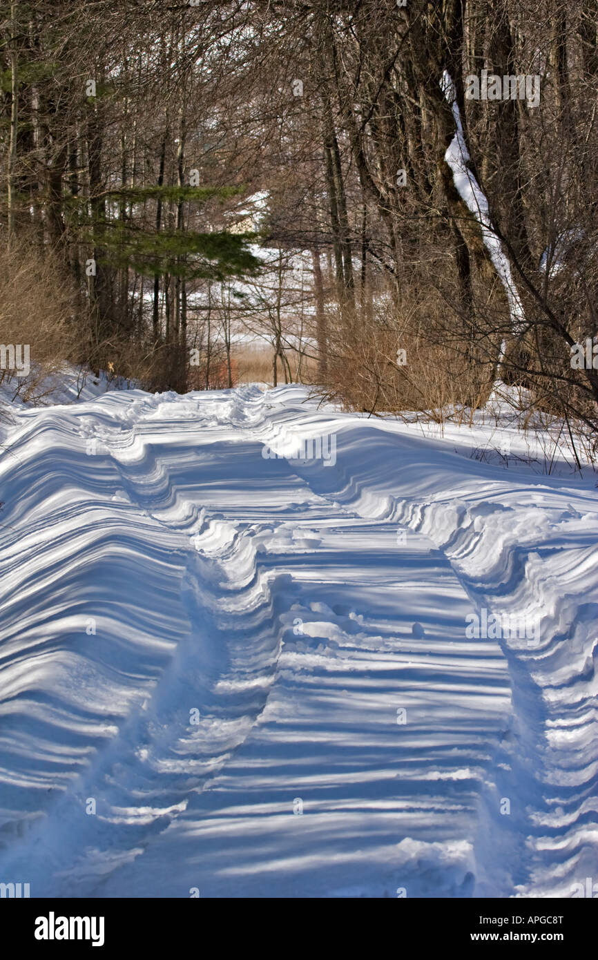 Track through the woods Stock Photo - Alamy