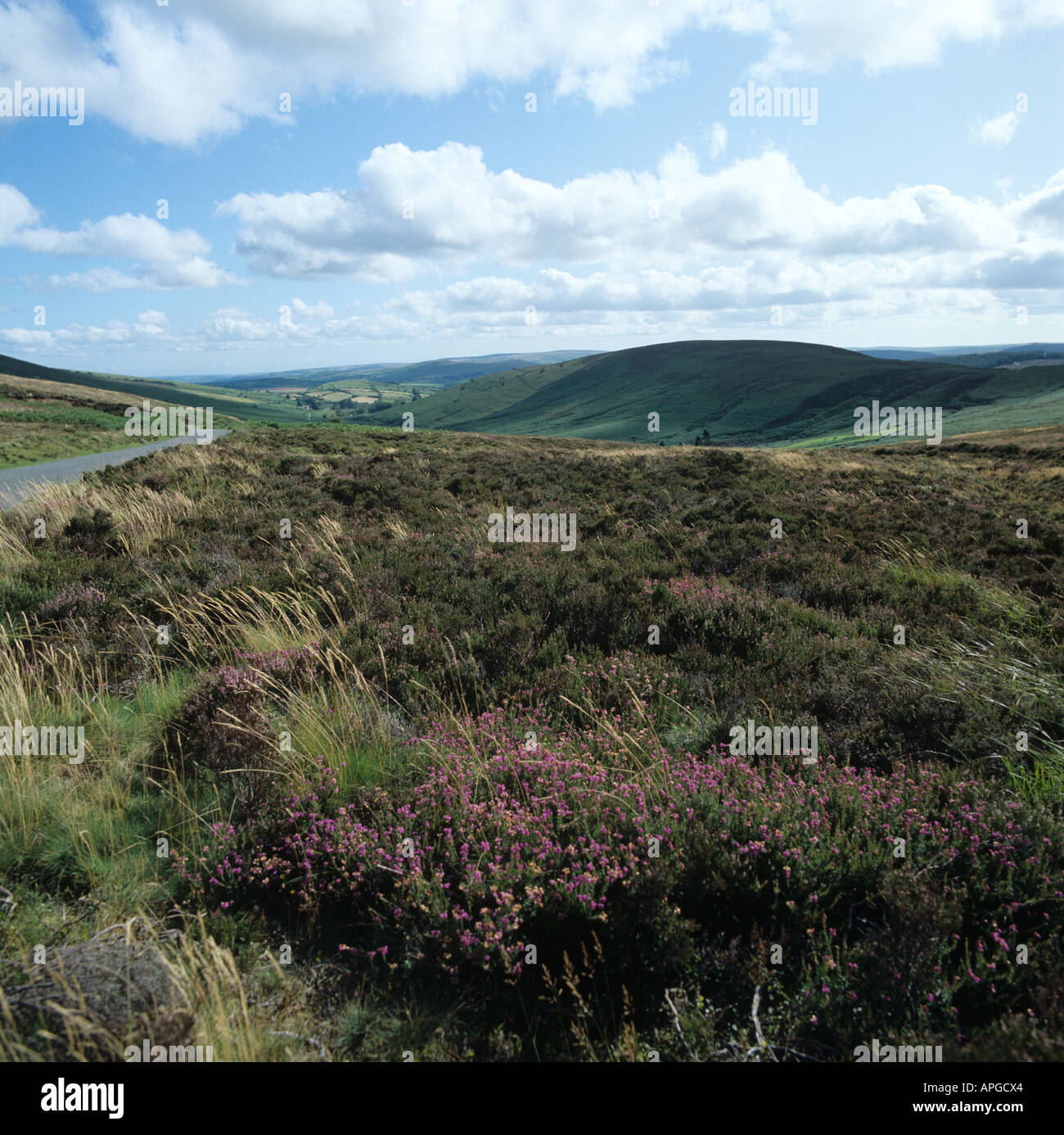 Undulating moorland road hi-res stock photography and images - Alamy