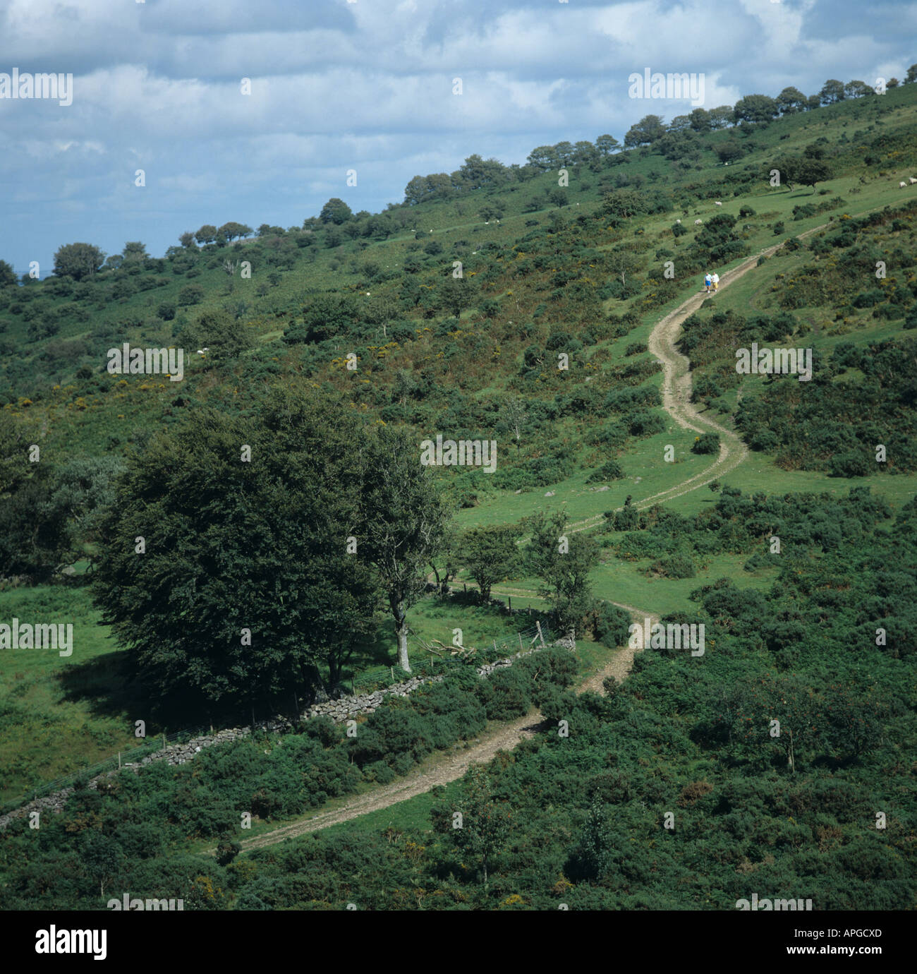 Datmoor National Park High Resolution Stock Photography and Images - Alamy
