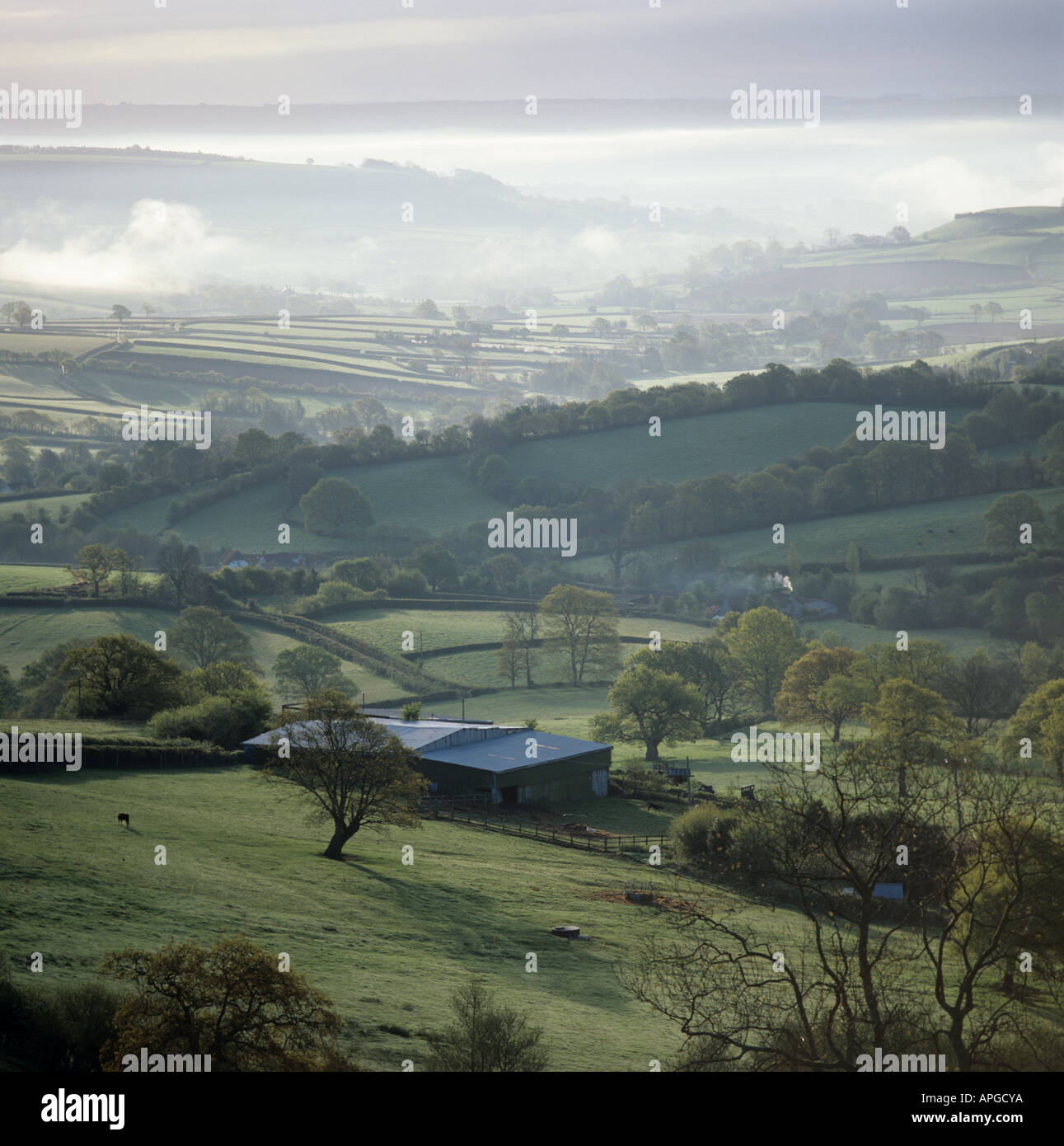 Habitat patches hi-res stock photography and images - Alamy