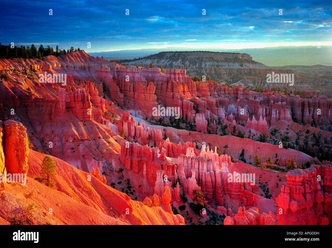 Bryce Canyon viewed from Sunset Point Stock Photo - Alamy