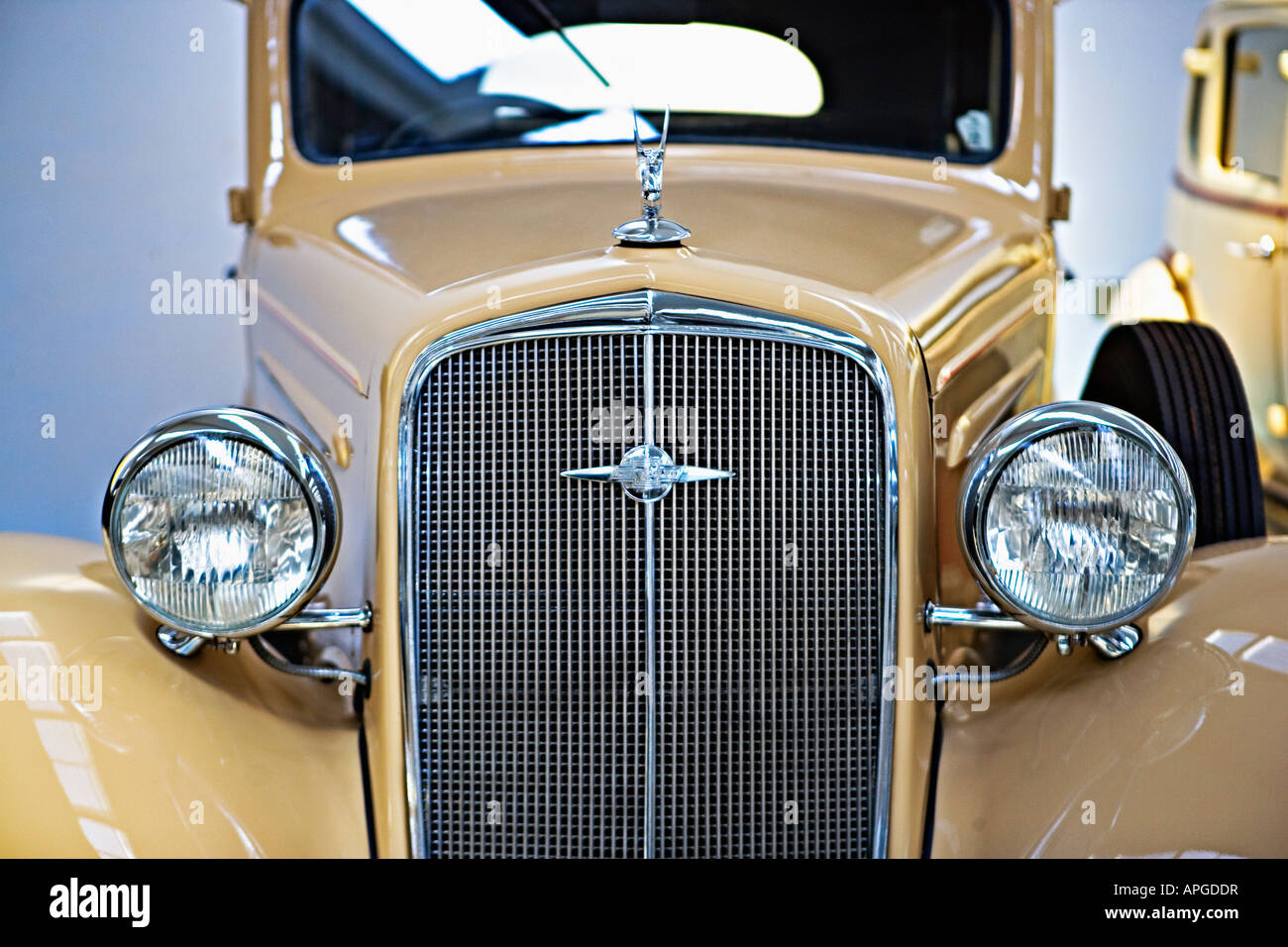 Cream Color Car Paint