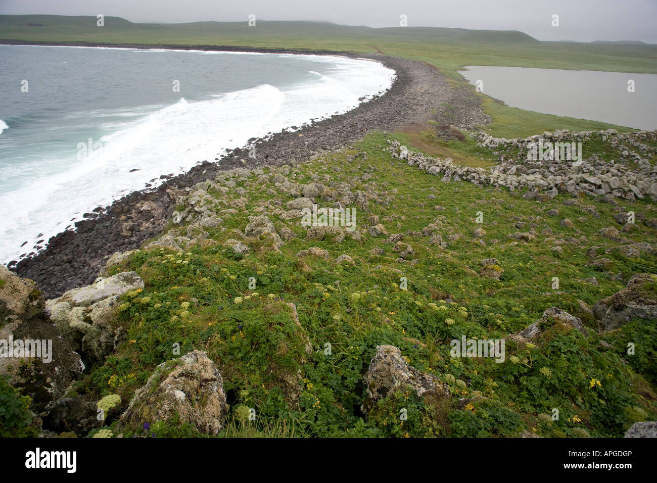 alaska st paul island pribilof islands Stock Photo - Alamy