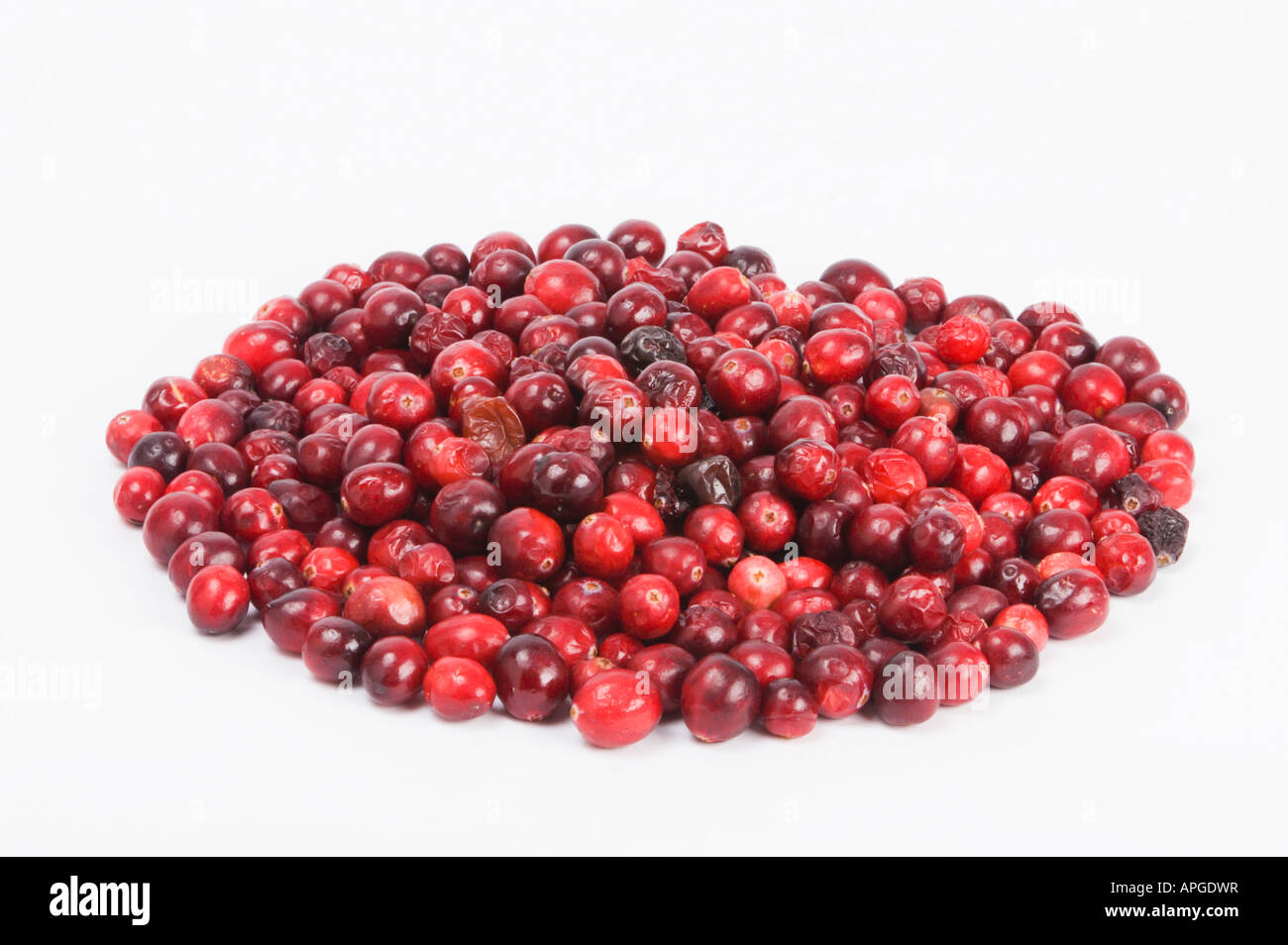 Pile of cranberry Cut Out Stock Images & Pictures - Alamy