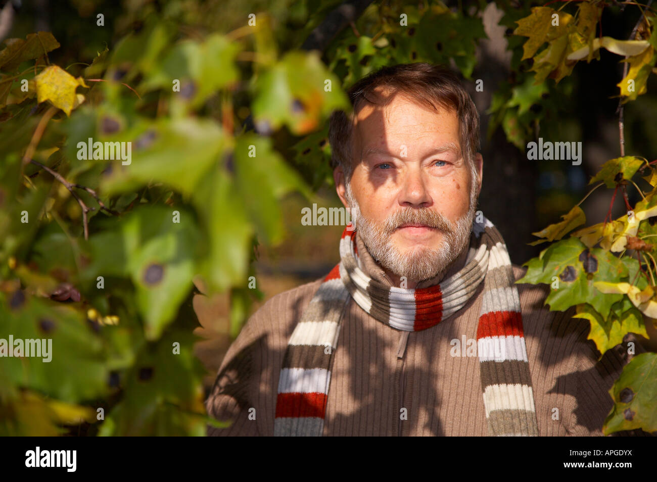 Old man chilling Stock Photo - Alamy