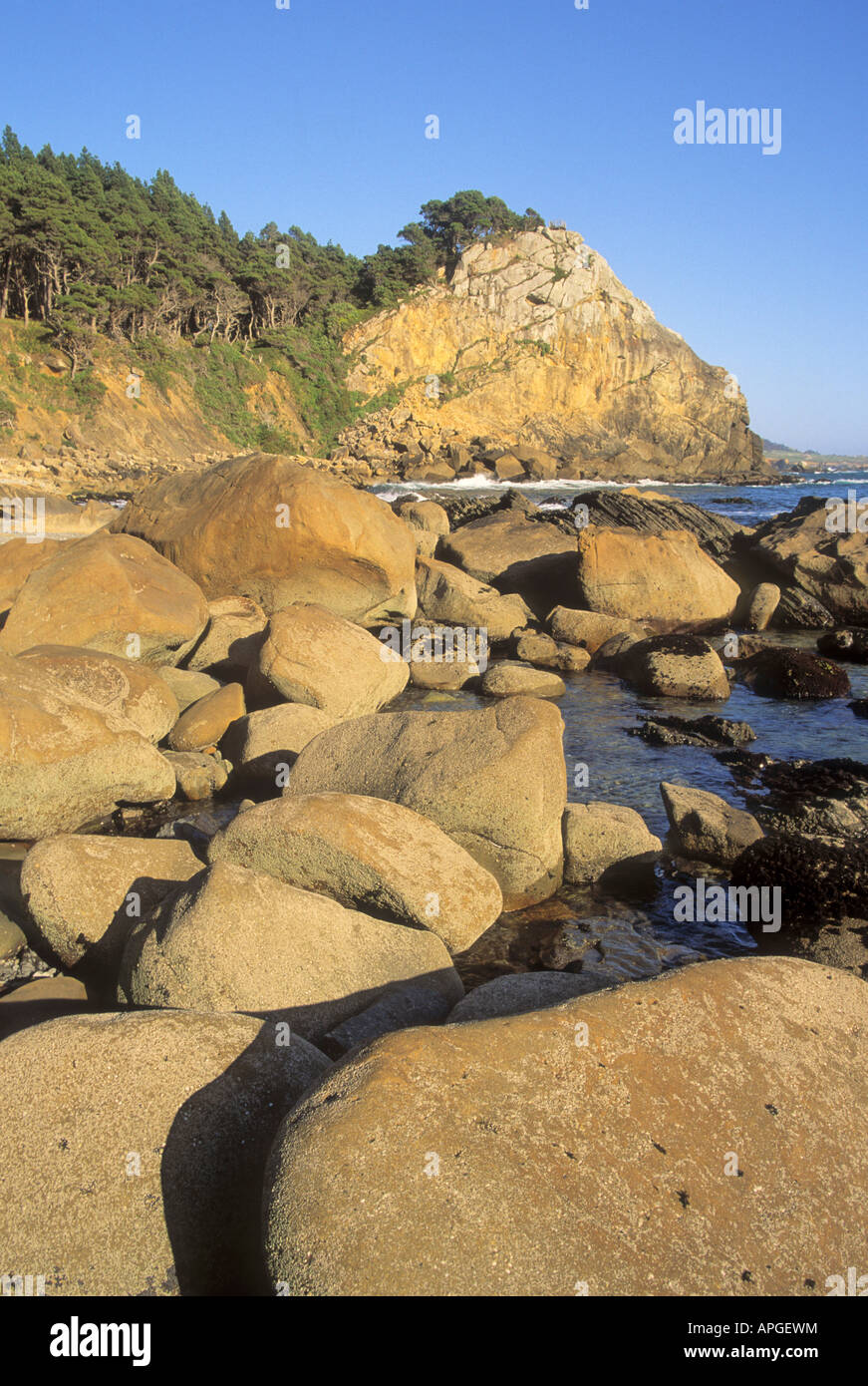 Fisk Mill Cove at Salt Point State Park, California, USA Stock Photo ...