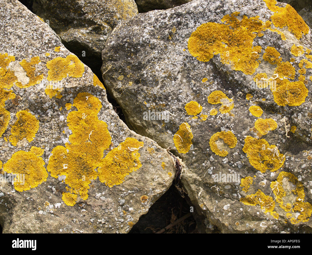Yellow ochre hi-res stock photography and images - Alamy