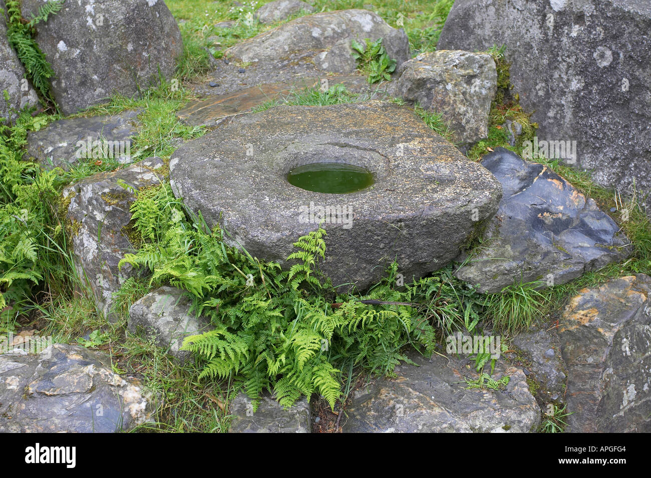 Deer stone glendalough hi-res stock photography and images - Alamy