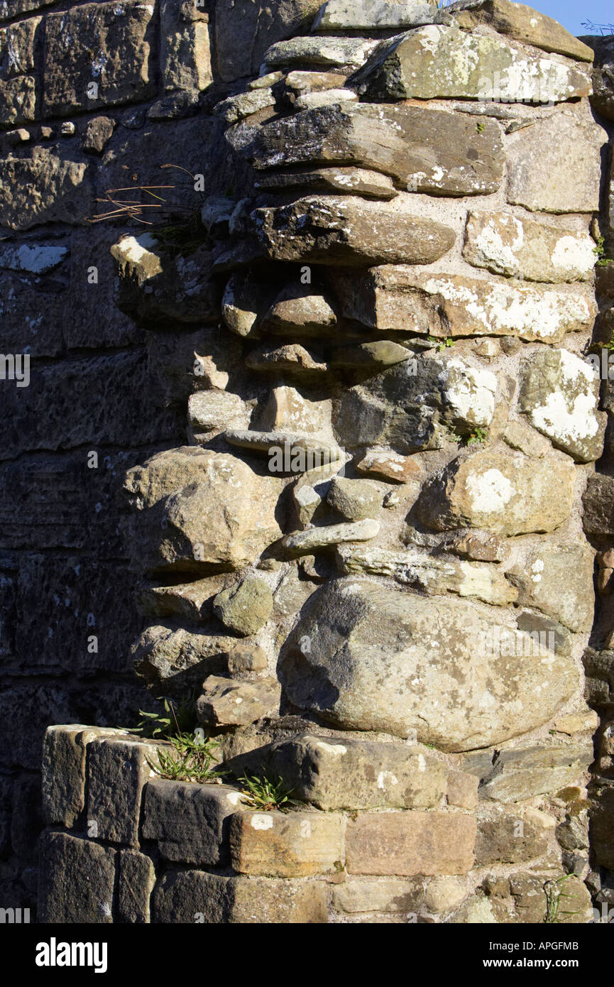 remains of interior stone wall of 12th century Banagher church county ...