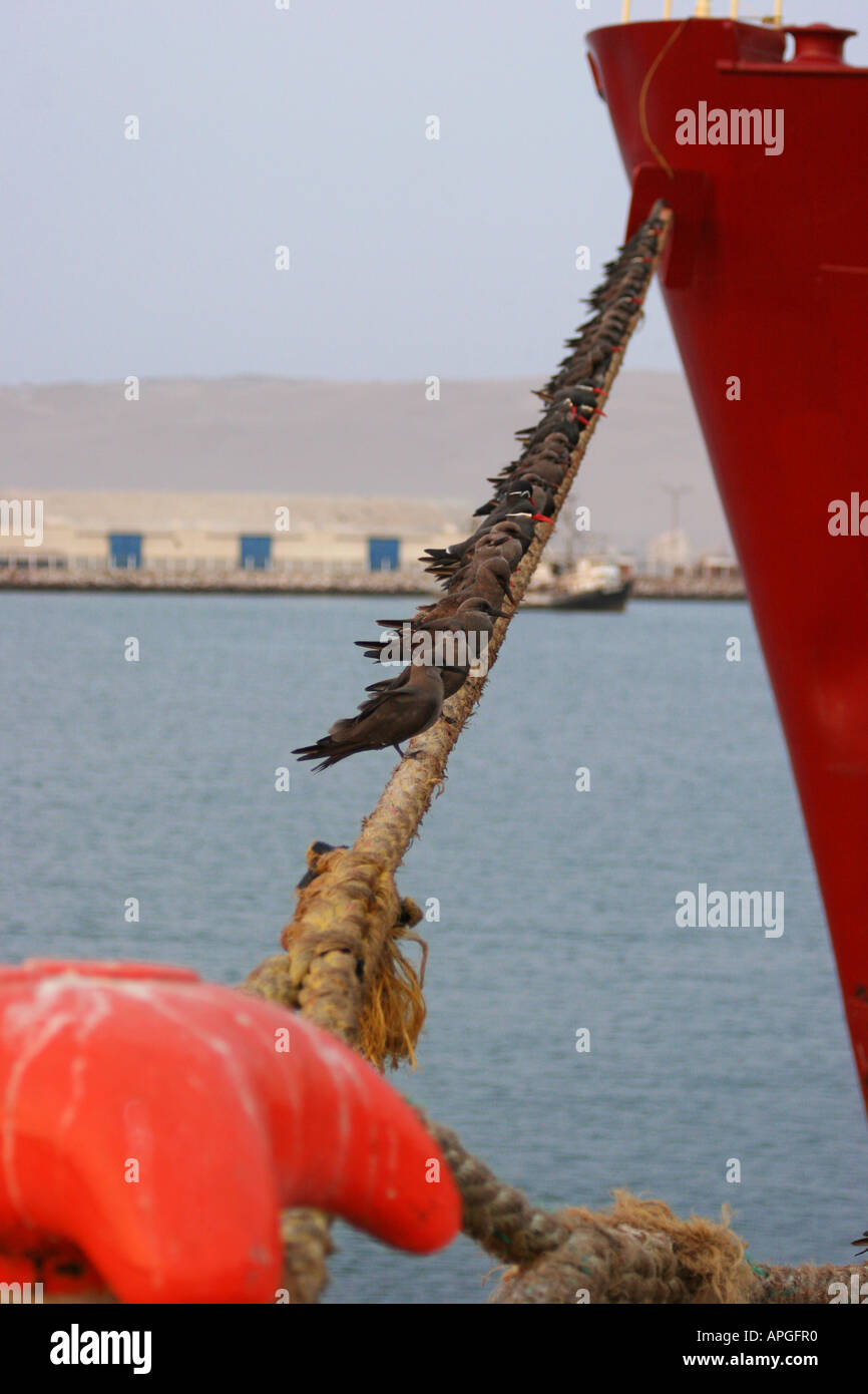 Inca ship hi-res stock photography and images - Alamy