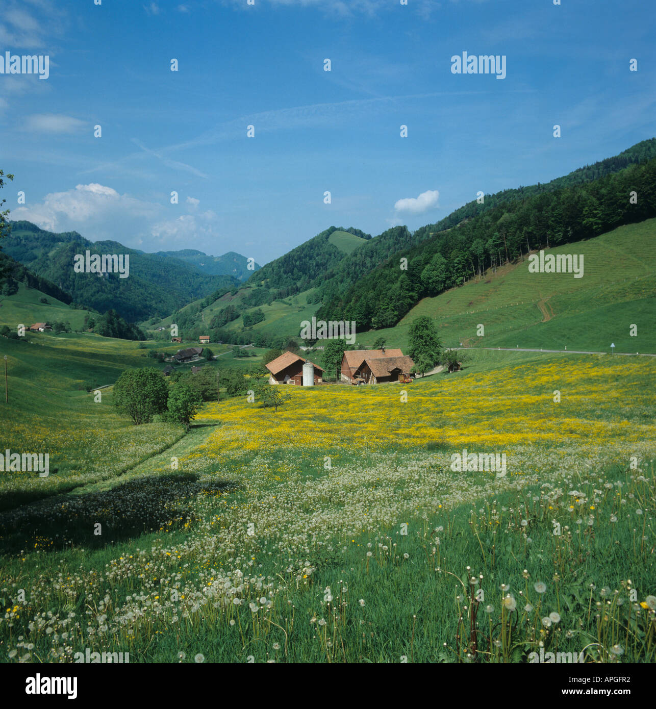 Switzerland mountain chalets flowers hi-res stock photography and ...