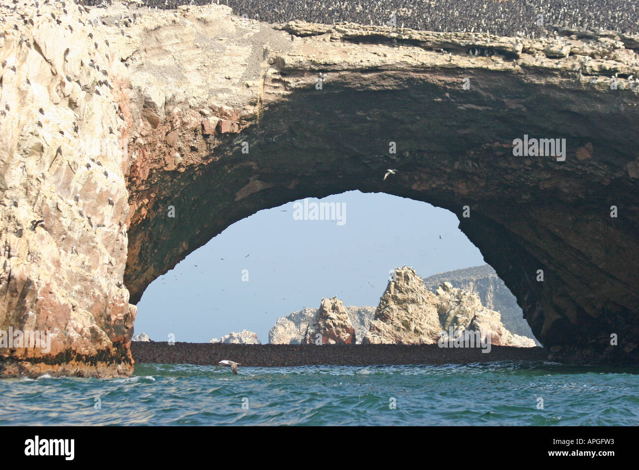 Looking through natural sea-arch, Islas Ballestas, Peru Stock Photo - Alamy