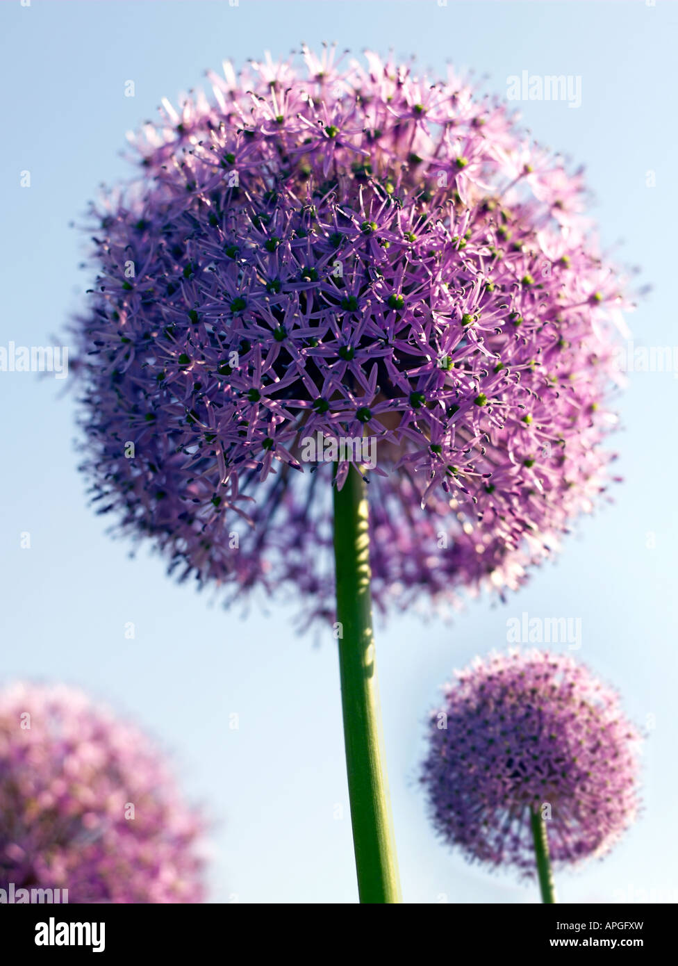 Outdoors concept conceptual metaphor metaphorical symbolic symbol ...