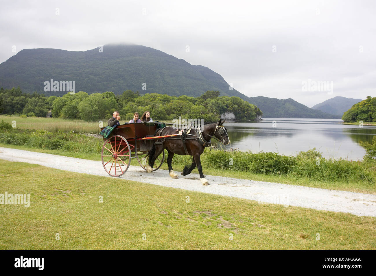 two female tourists take a horse and trap jaunting cart ride next to ...