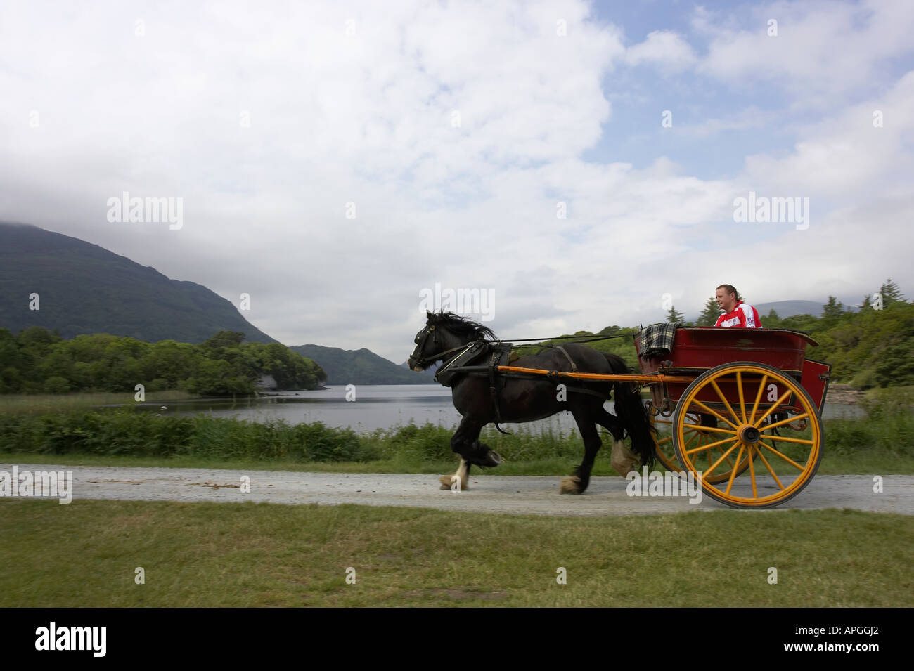 Horse cart county kerry hi-res stock photography and images - Alamy