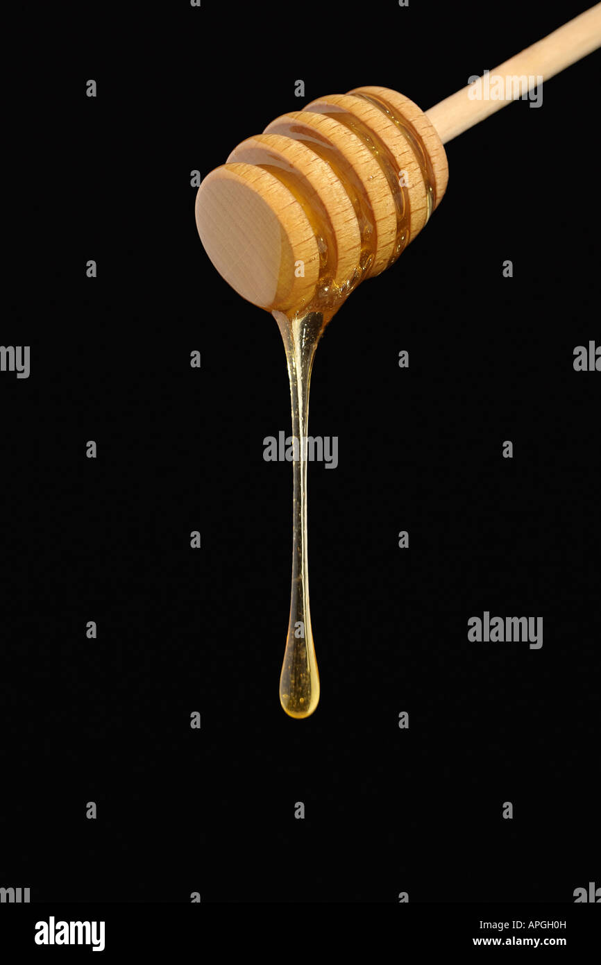Honey Falling from a Dripper Against a Black Background Stock Photo - Alamy