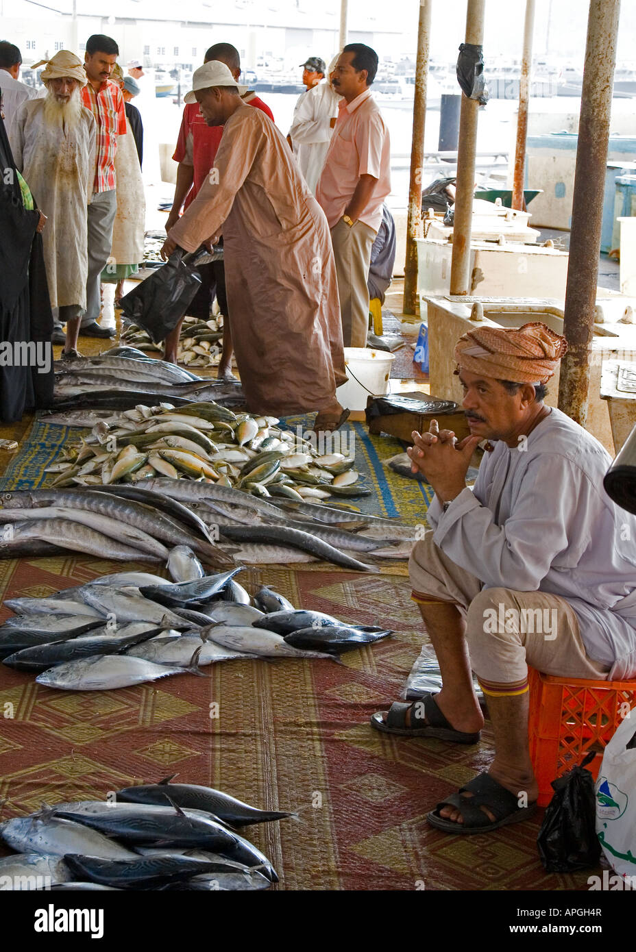 Fish market at Muttrah in the Sultanate of Oman Stock Photo - Alamy
