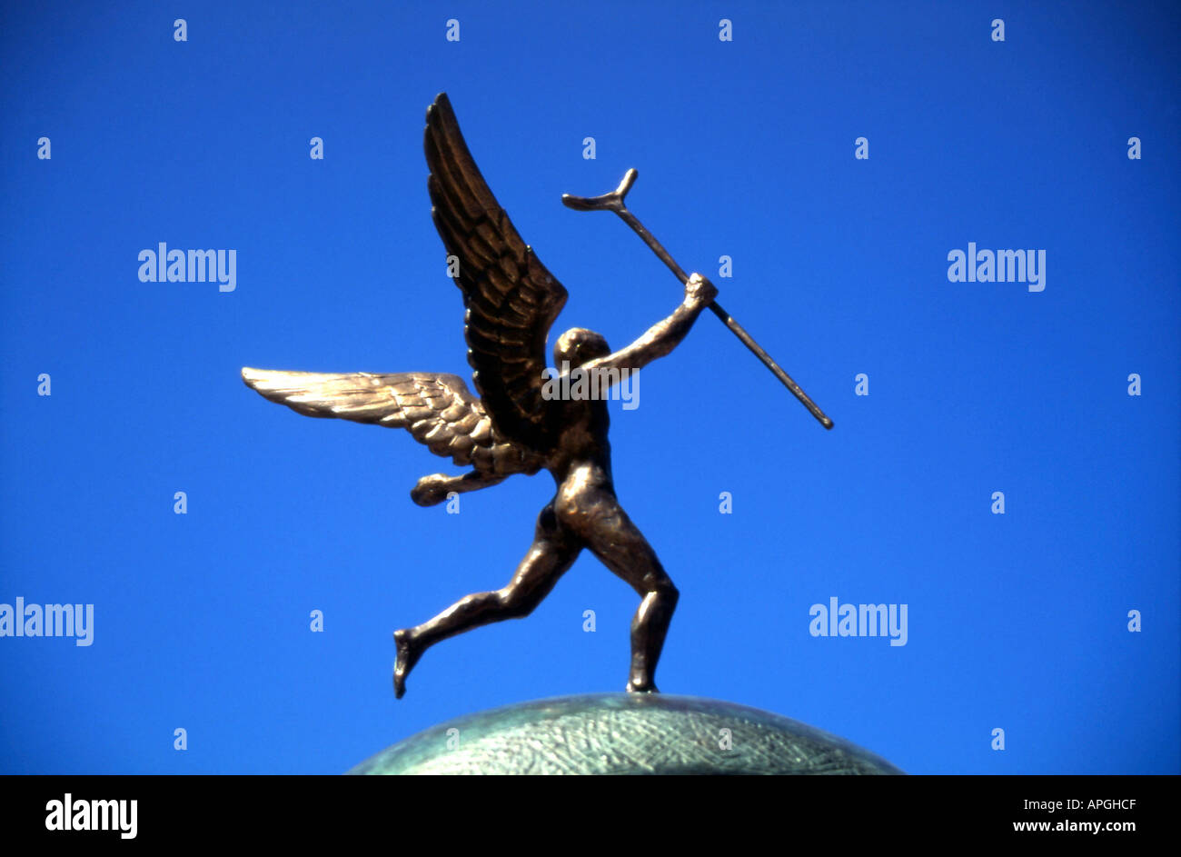 Angel snail hi-res stock photography and images - Alamy