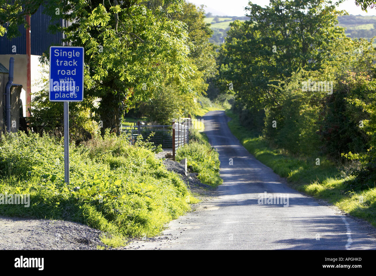 blue and white rectangular single track road with passing places ...