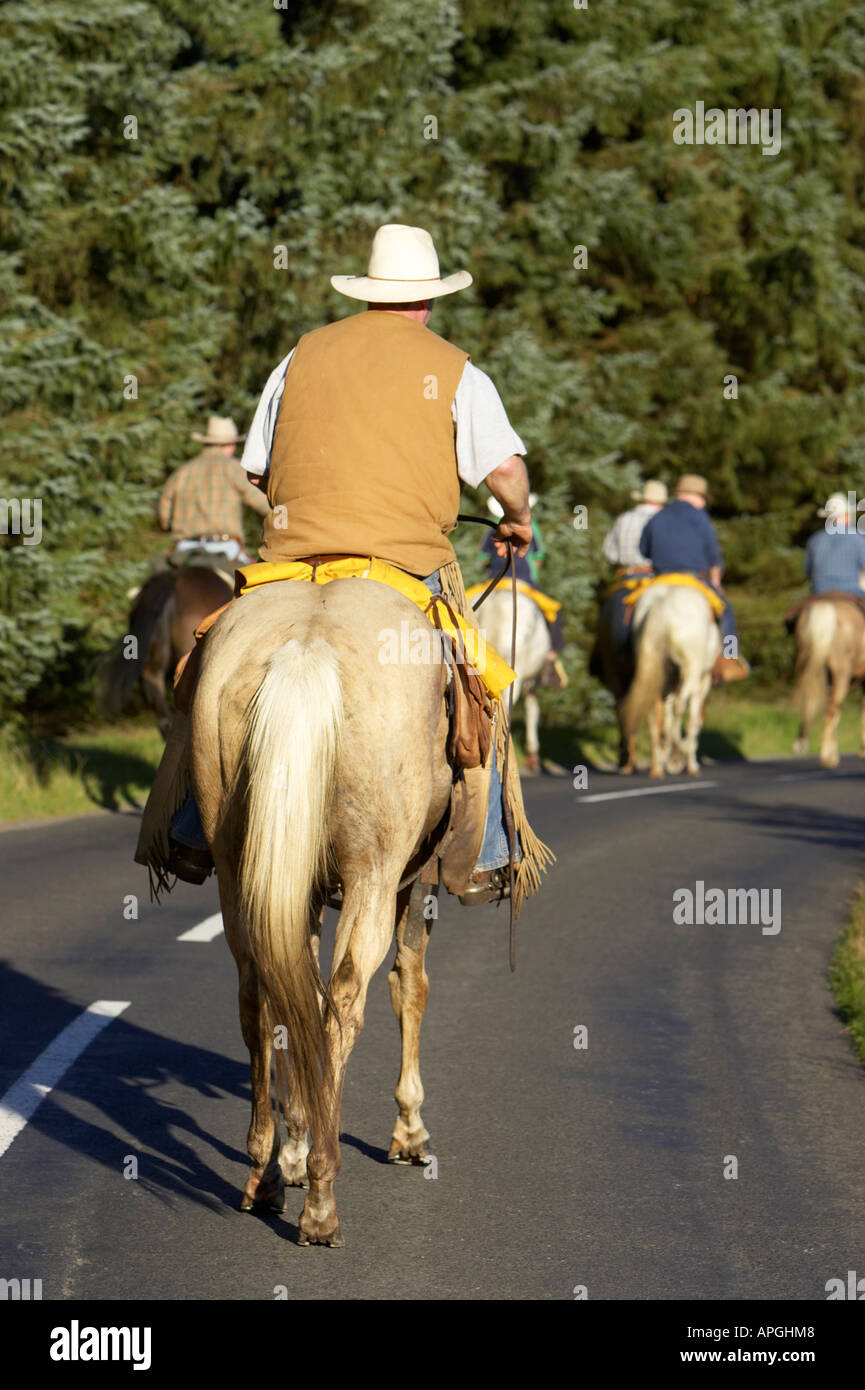 Western posse hi-res stock photography and images - Alamy