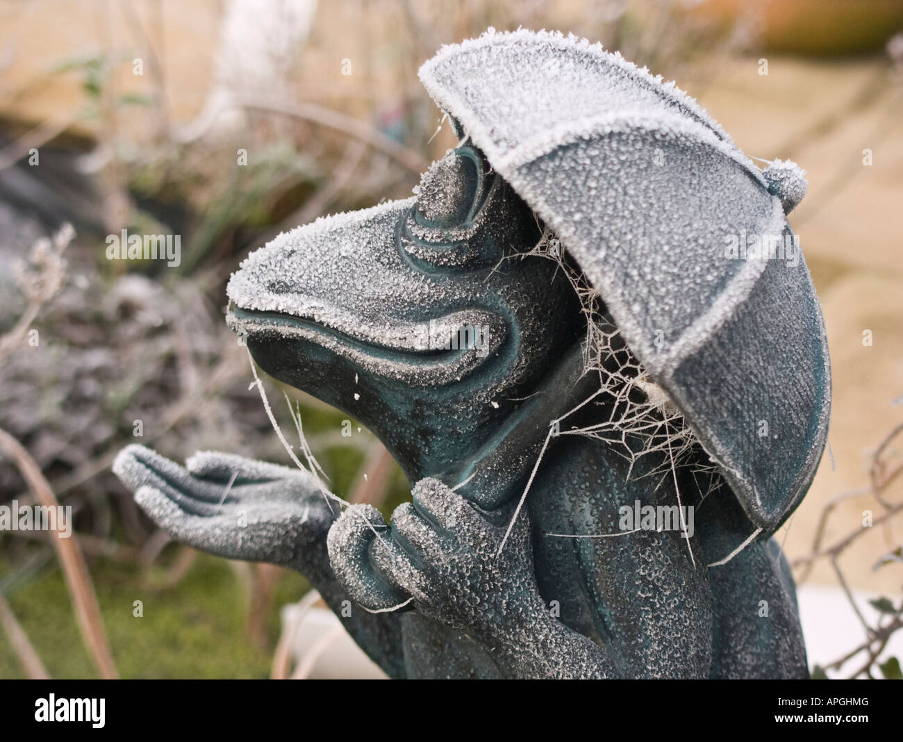 Funny frosted frog with umbrella Stock Photo - Alamy