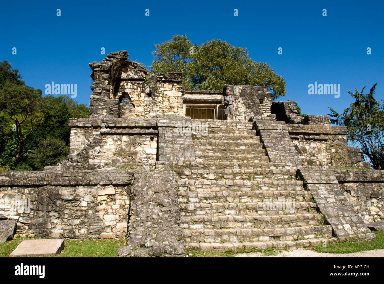 Pelenque hi-res stock photography and images - Alamy