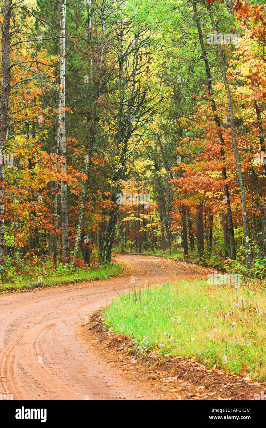 A gravel road winds through the colorful autumn forest of St Croix ...