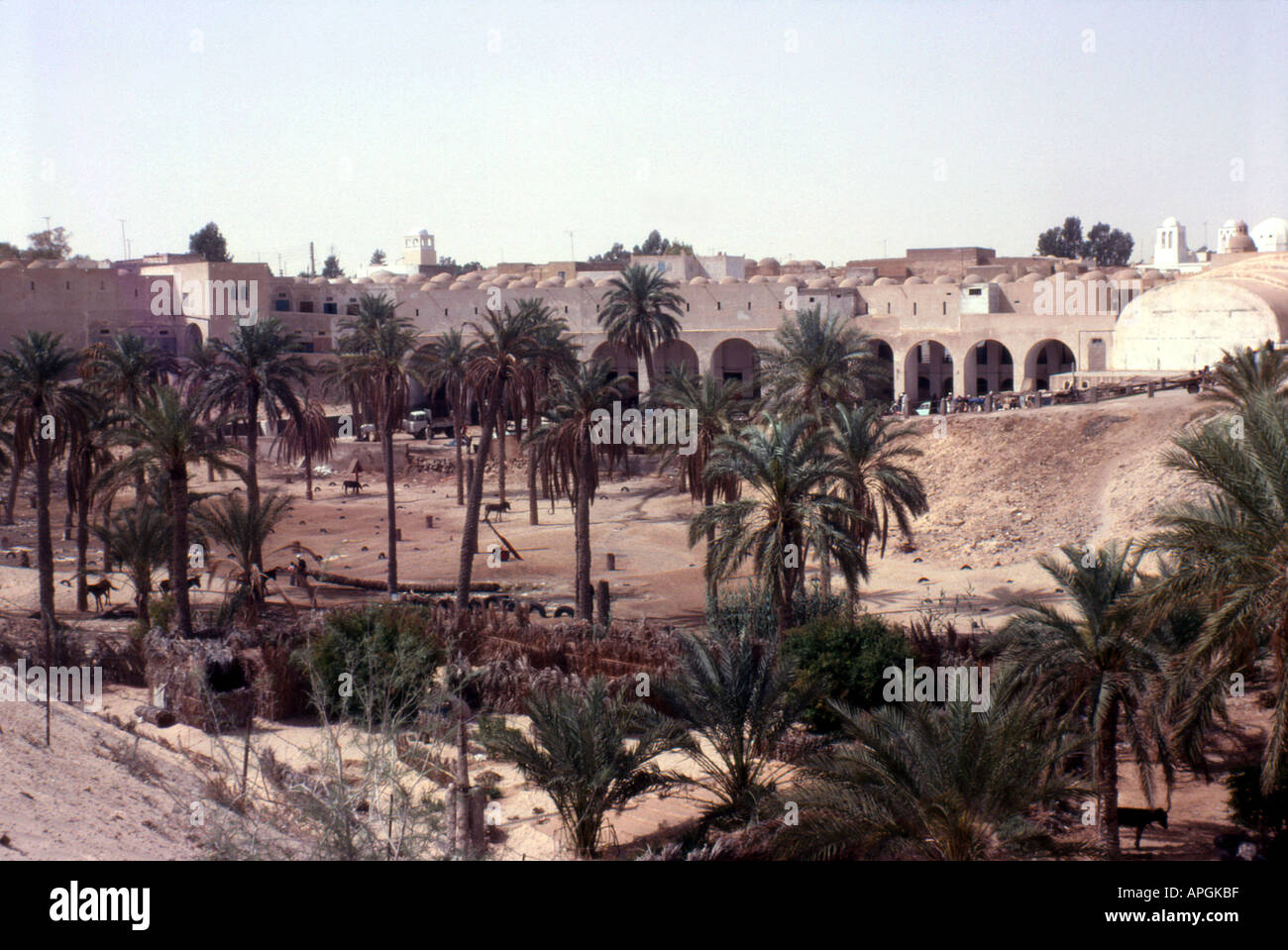 Algeria el oued hi-res stock photography and images - Alamy