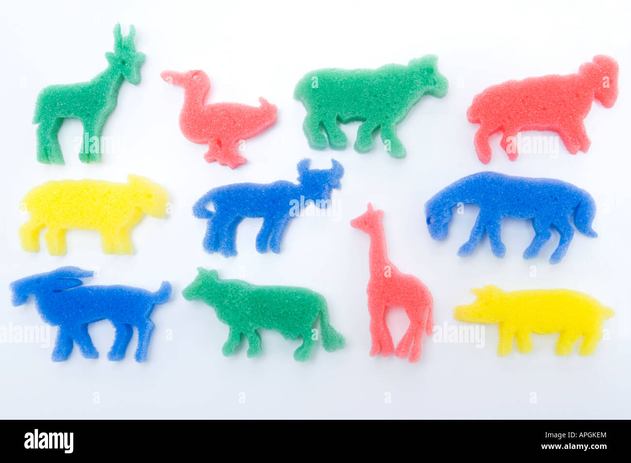 colorful sponge animals Stock Photo - Alamy