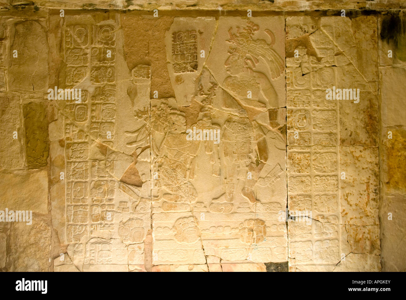 Pelenque hi-res stock photography and images - Alamy